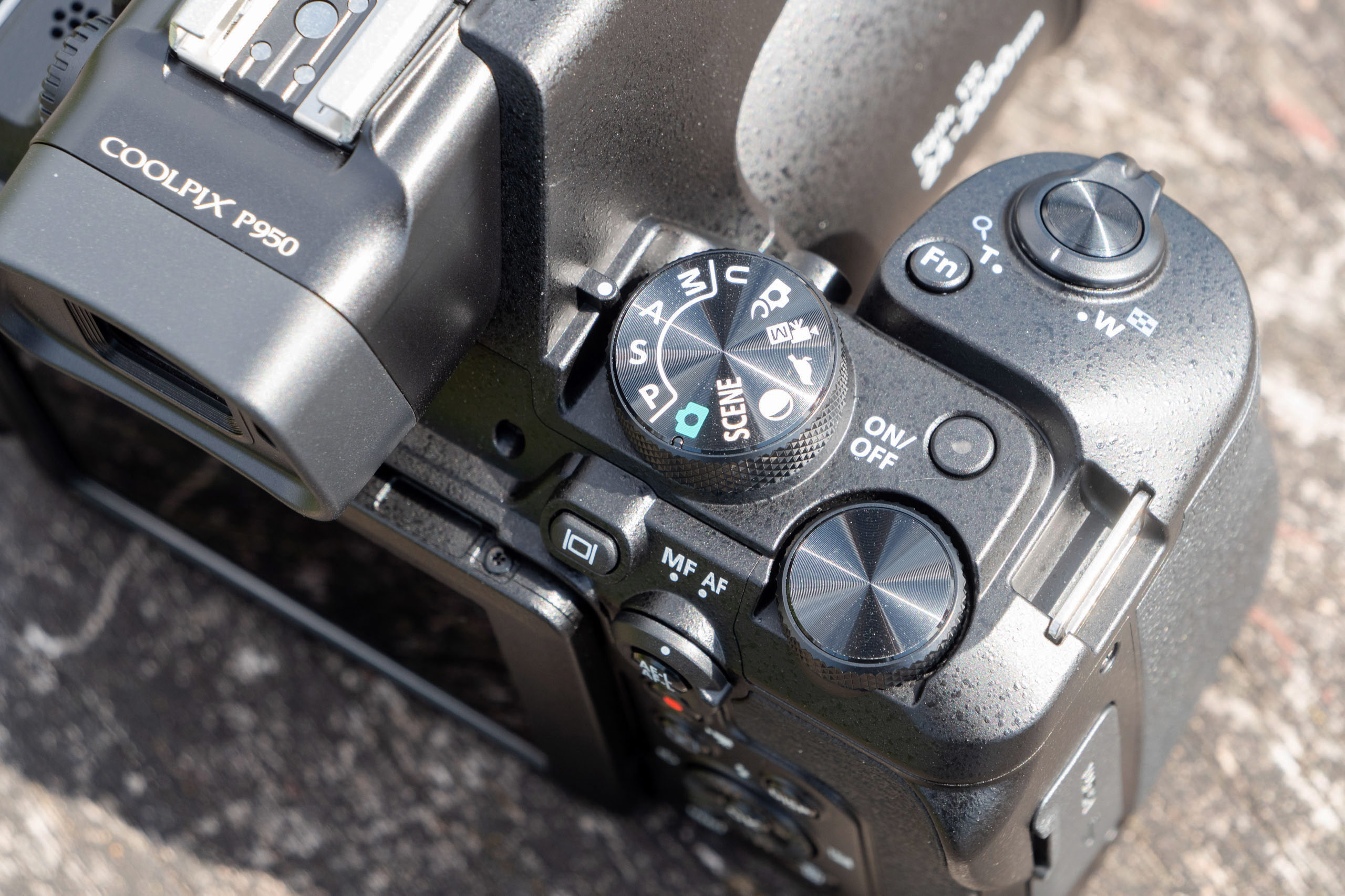 Nikon Coolpix P950 Review – 83x zoom and DSLR style handling | Amateur ...