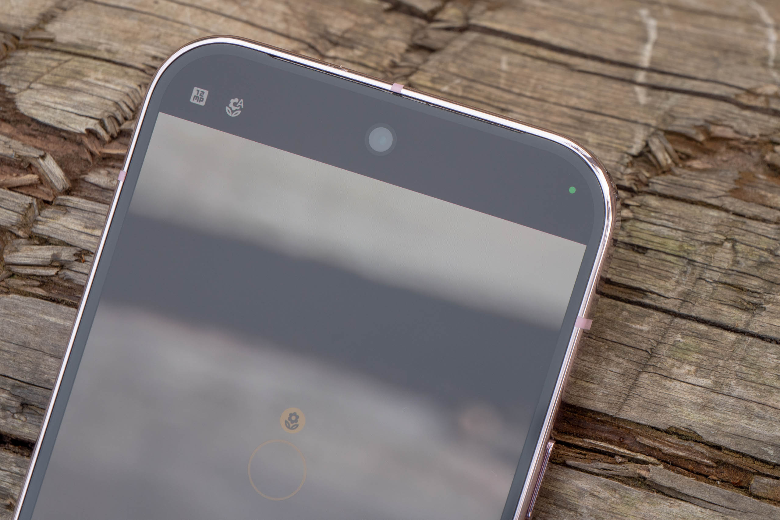 Google Pixel 9 Pro Review: Smaller screen, same great camera | Amateur ...