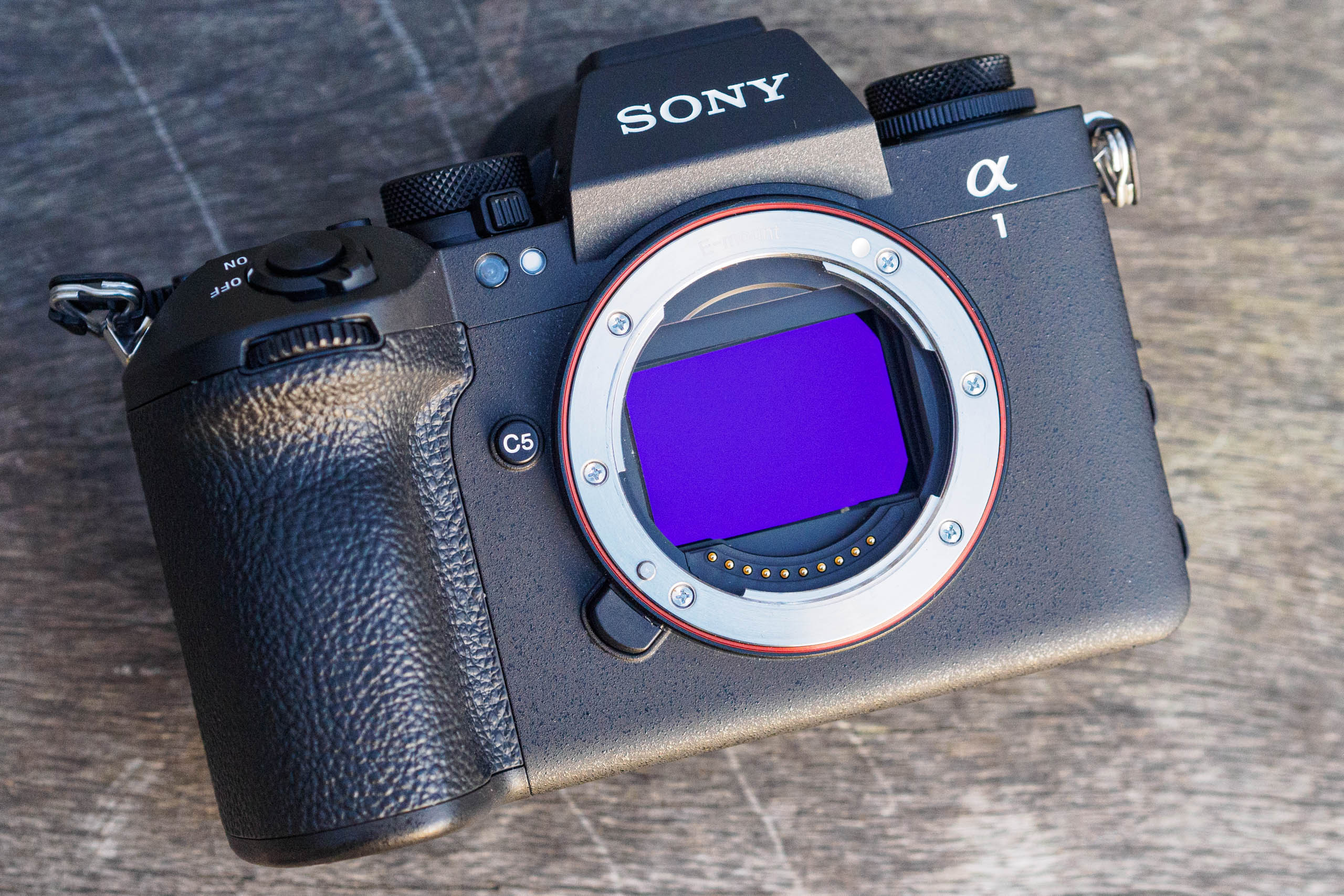 Sony Alpha A1 II review: crazy good, crazy expensive | Amateur Photographer
