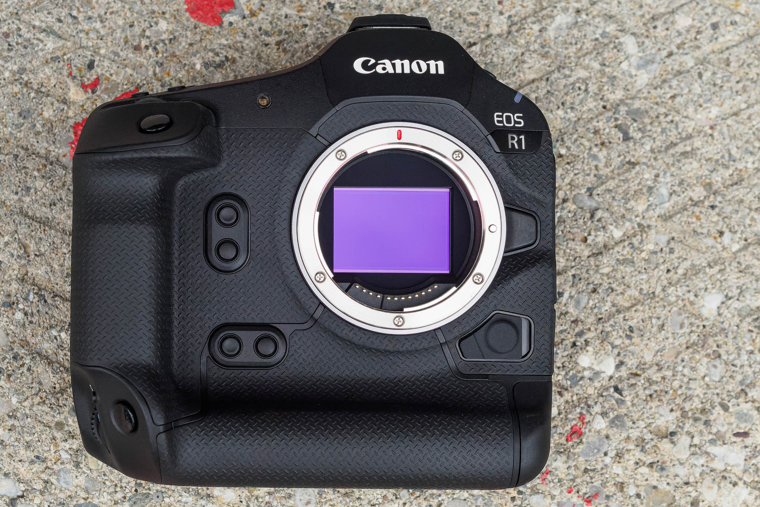 Canon EOS R1 review - high-speed super-heavyweight | Amateur Photographer