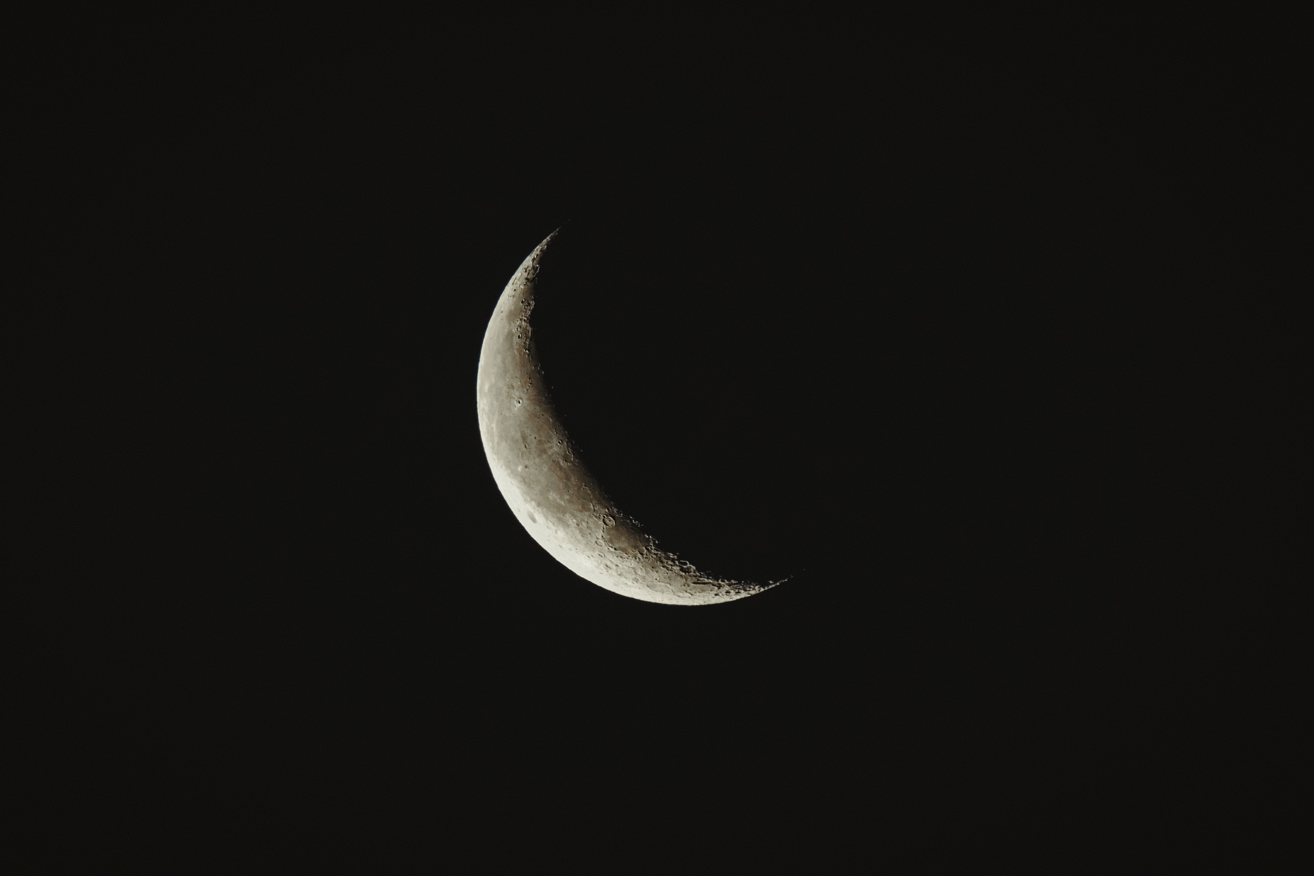 Fujifilm XF 500mm F5.6 R LM OIS WR Field Test – taking a long shot ...