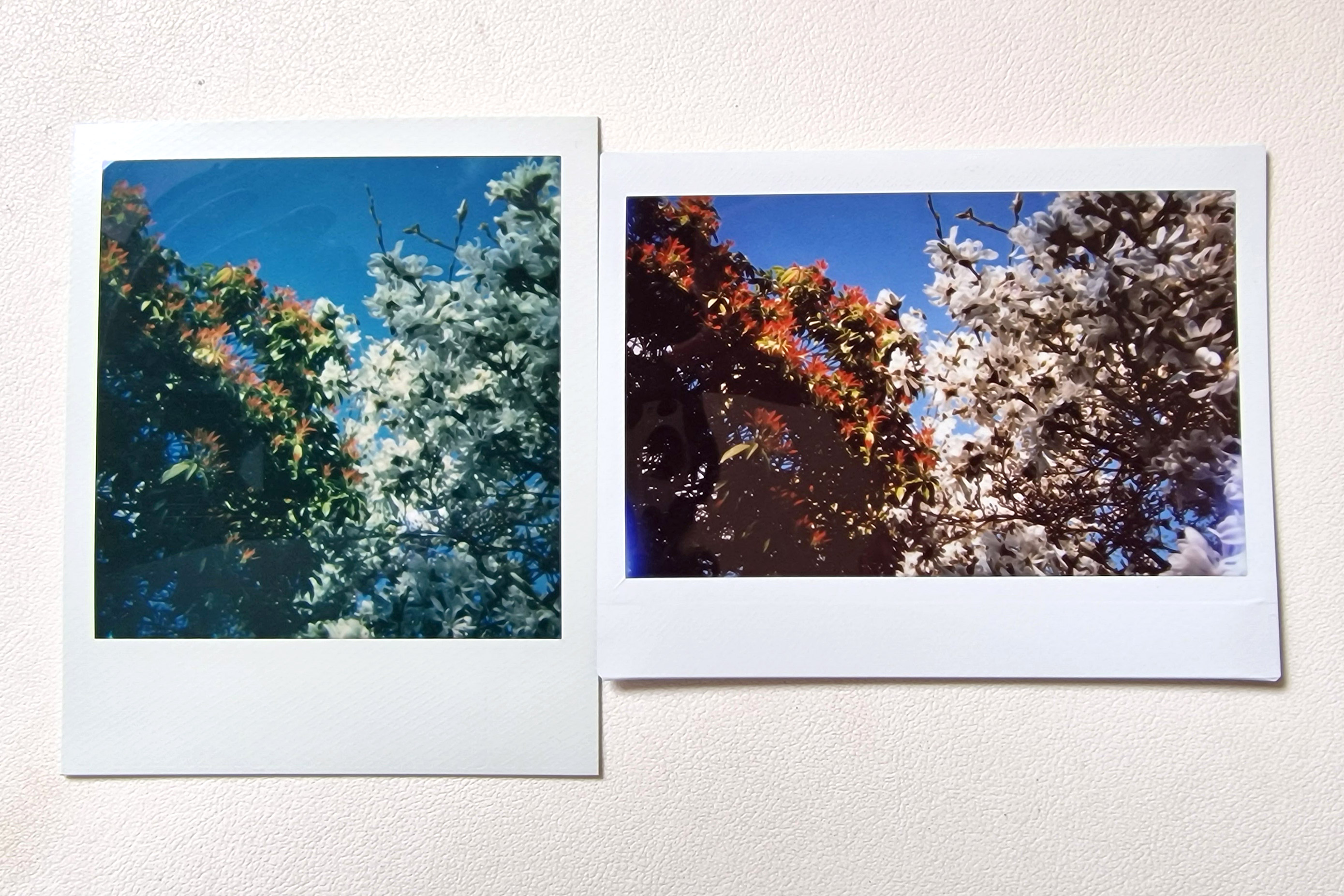 Polaroid Flip Review - Great camera but lost shots kill some of the fun ...