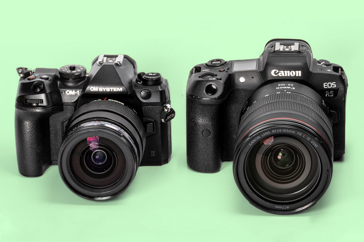 Full-frame vs Micro Four Thirds - Which format is best for you ...