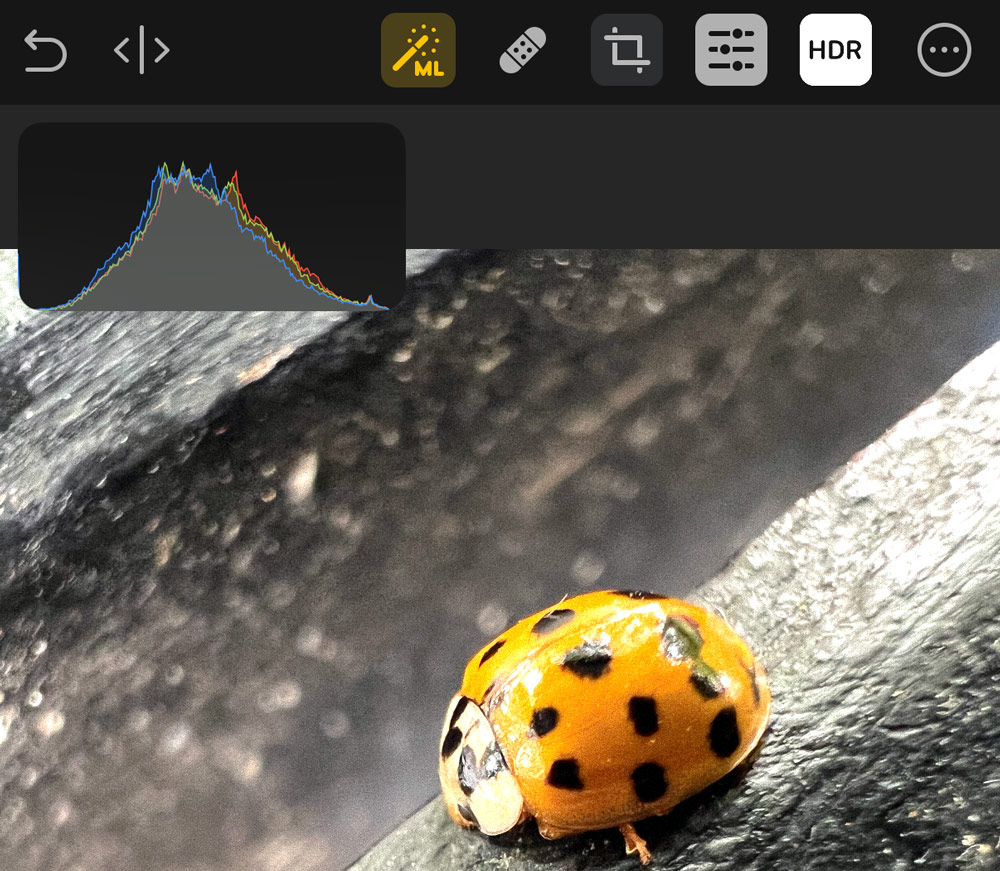 The iPhone's photo-editing tools are good, but these apps make your ...