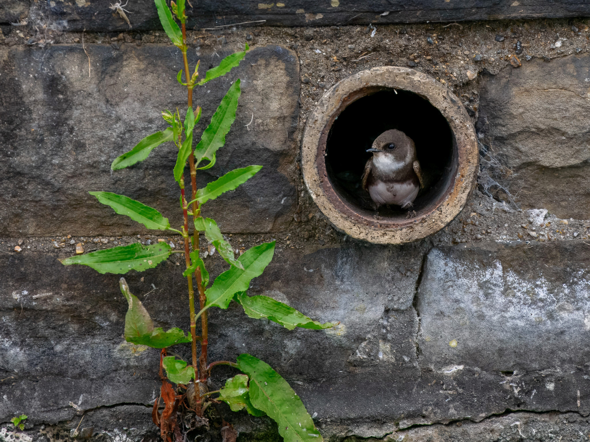 See the amazing animal photographs taken by teenagers in the RSPCA ...