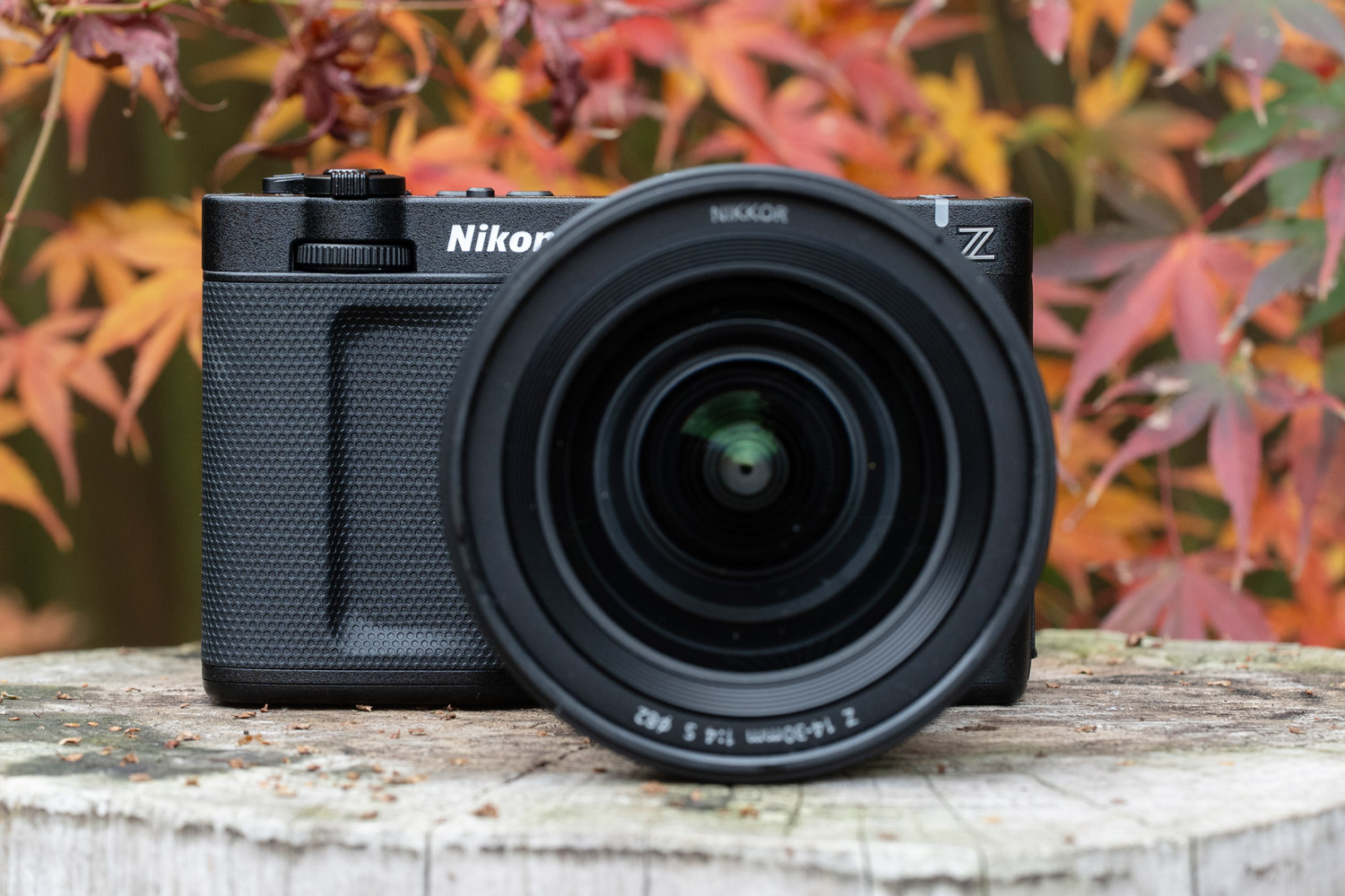 Best cameras for professional photographers - high-end choices ...