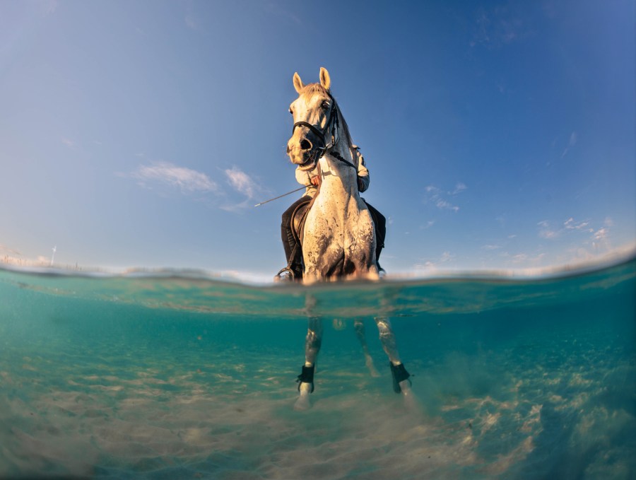 See these outstanding images by the world's most talented young ...