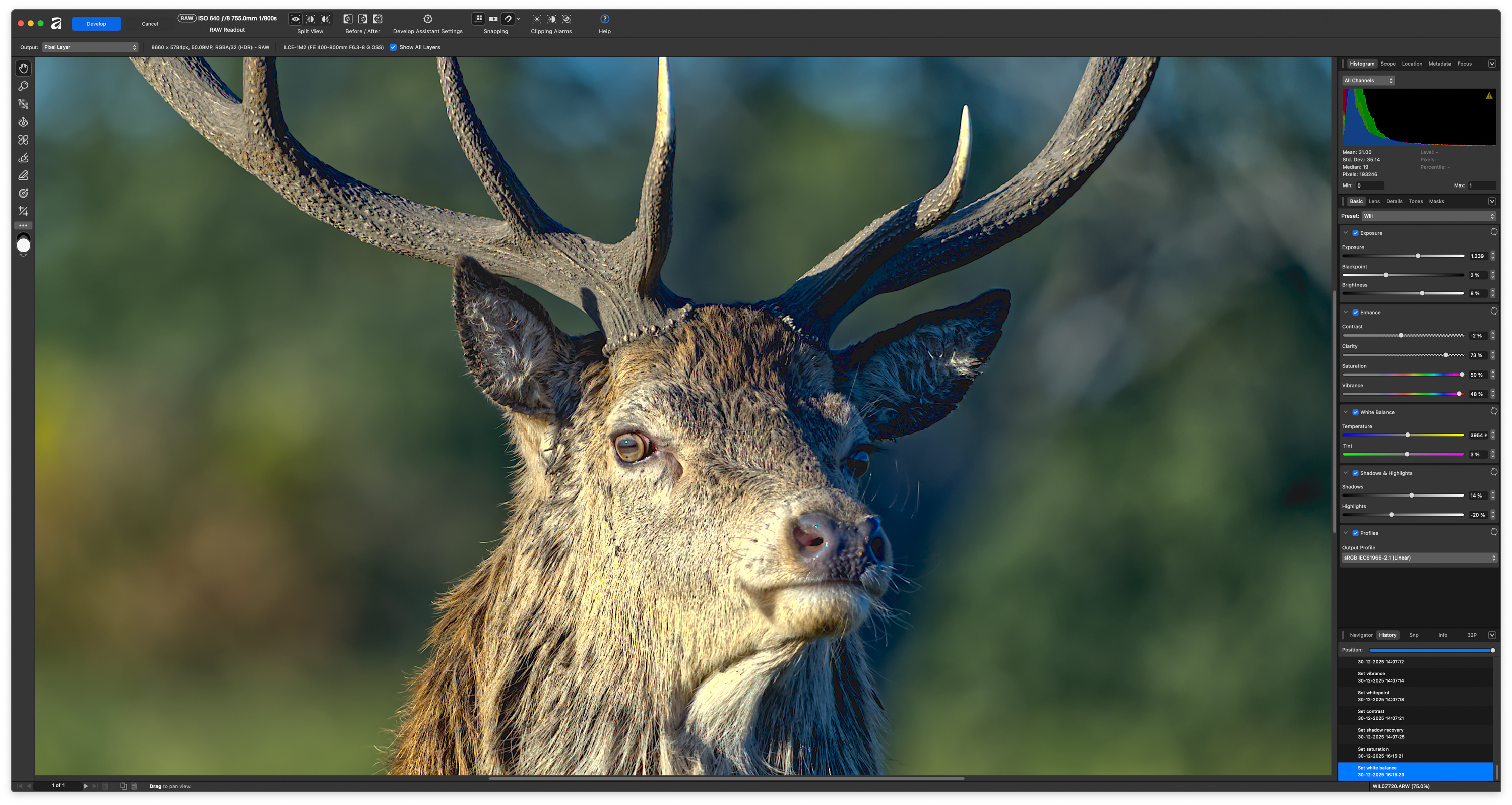 Affinity by Canva review - a hugely capable free editing software ...