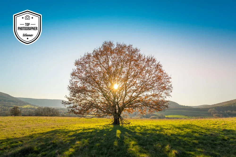 GuruShots winners on the theme of 'Your Magazine Shot' | Amateur ...